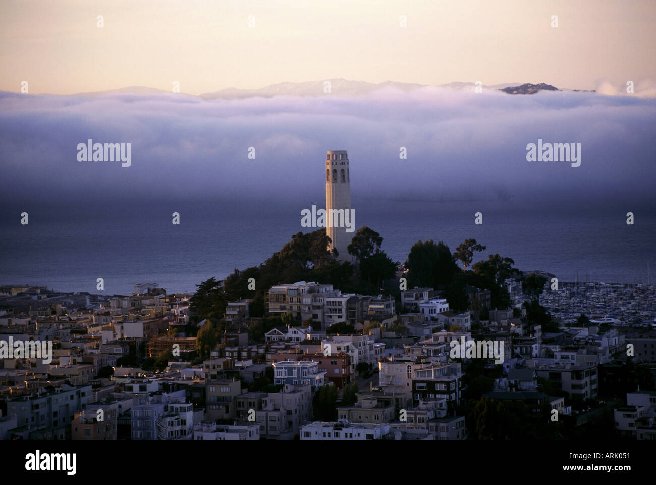 Coit Tower San Francisco California USA Stock Photo - Alamy