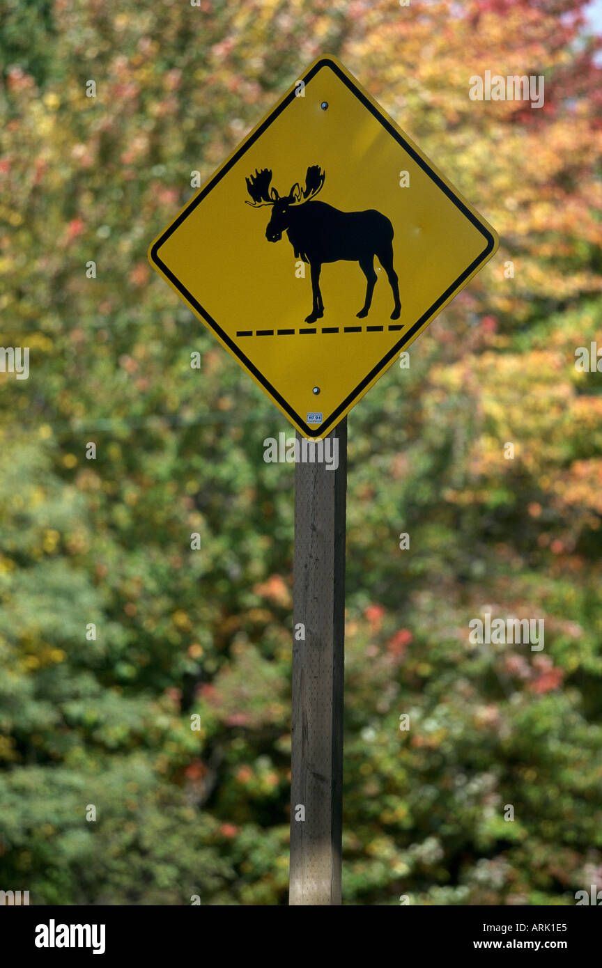 Moose road hazard warning sign hi-res stock photography and images - Alamy