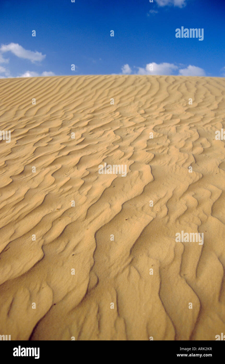 Sand ripples, Dubai, United Arab Emirates Stock Photo - Alamy