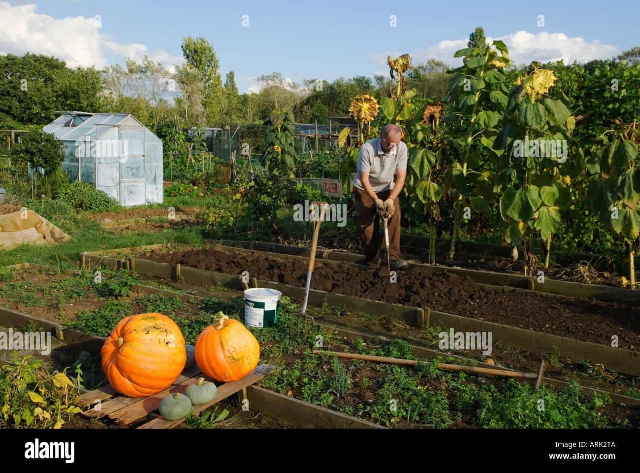 Growing in a suburban garden hi-res stock photography and images - Alamy