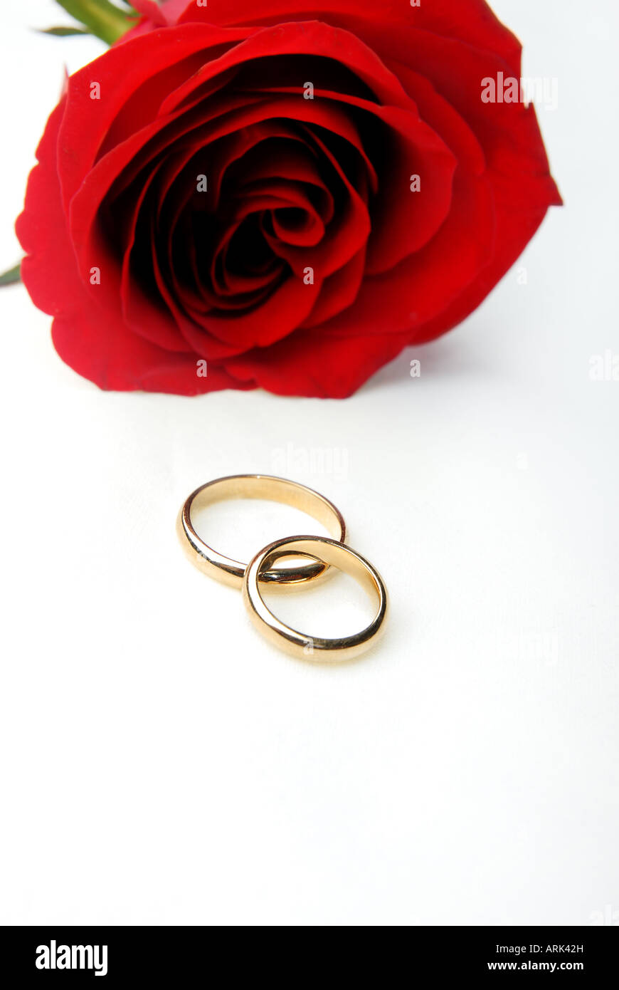 Romantic gift of red rose and engagement rings Stock Photo - Alamy