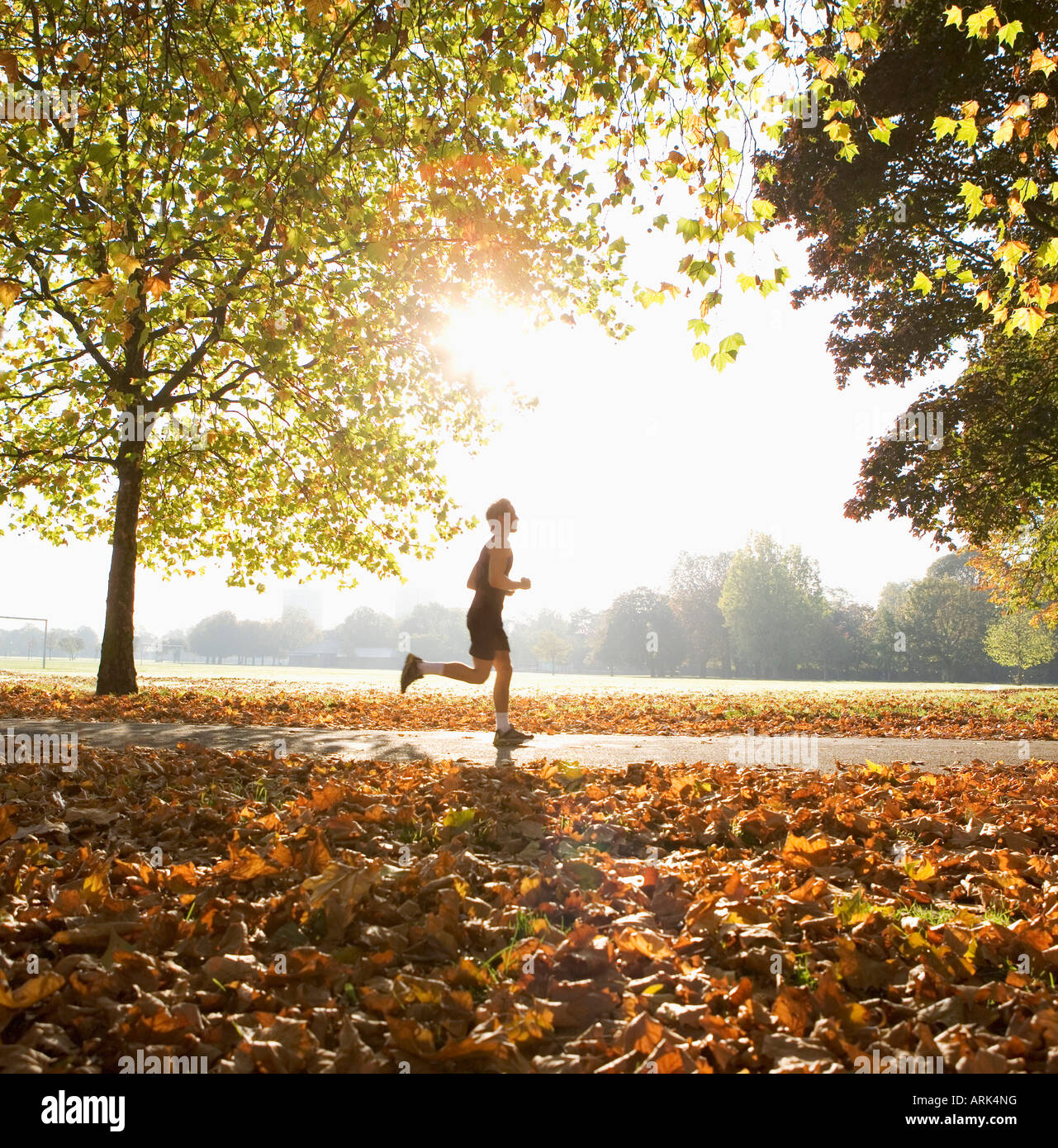 Young man running in park Stock Photo - Alamy
