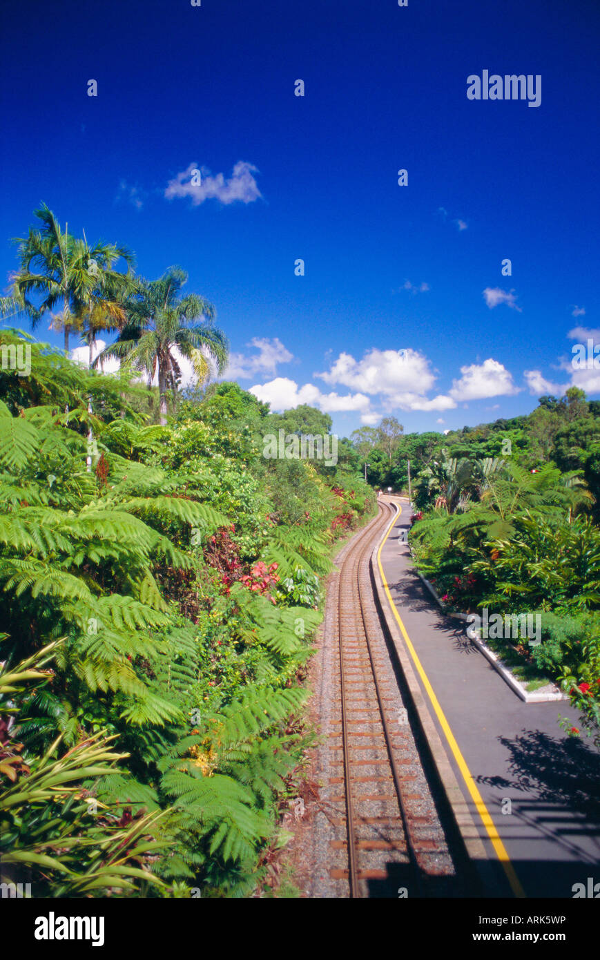 Railway through forest hi-res stock photography and images - Alamy