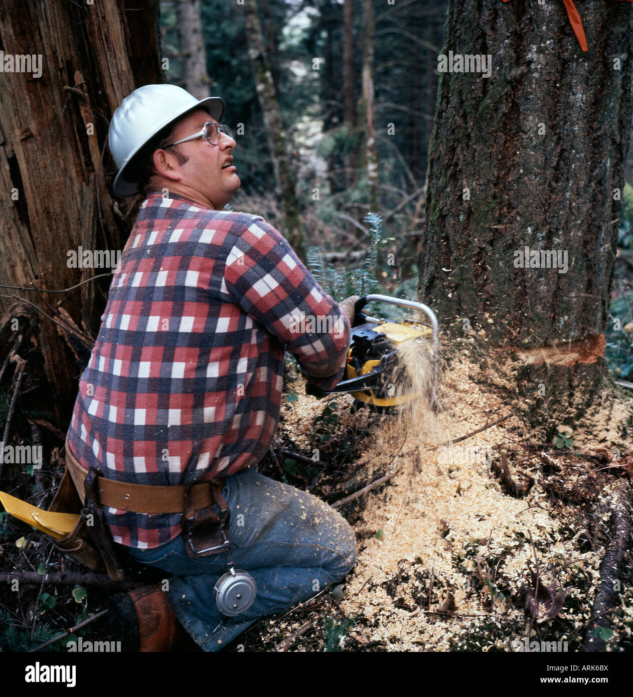 Side profile of a mid adult man cutting a tree with a chainsaw Stock ...