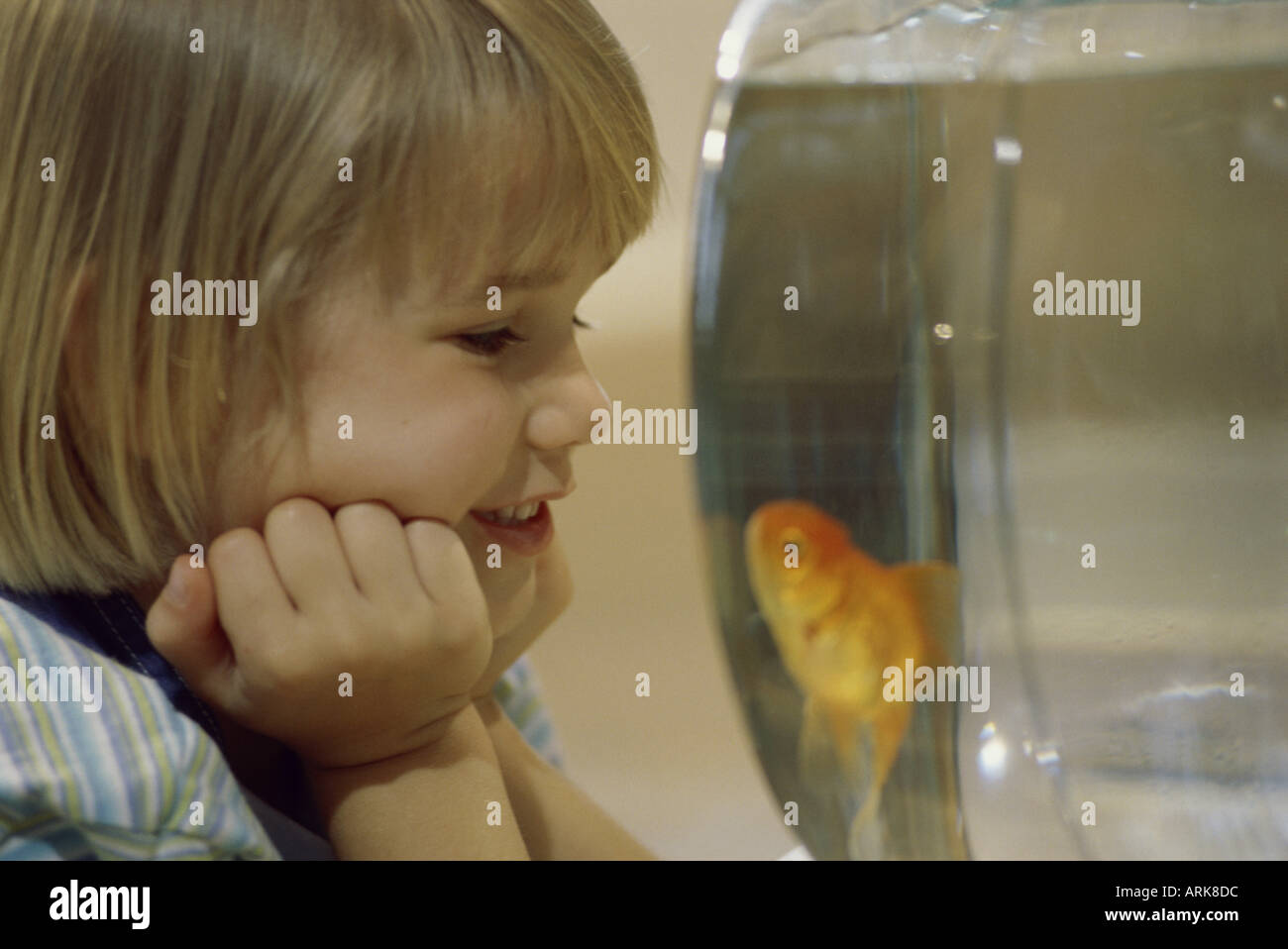 Goldfish bowl girl hi-res stock photography and images - Alamy
