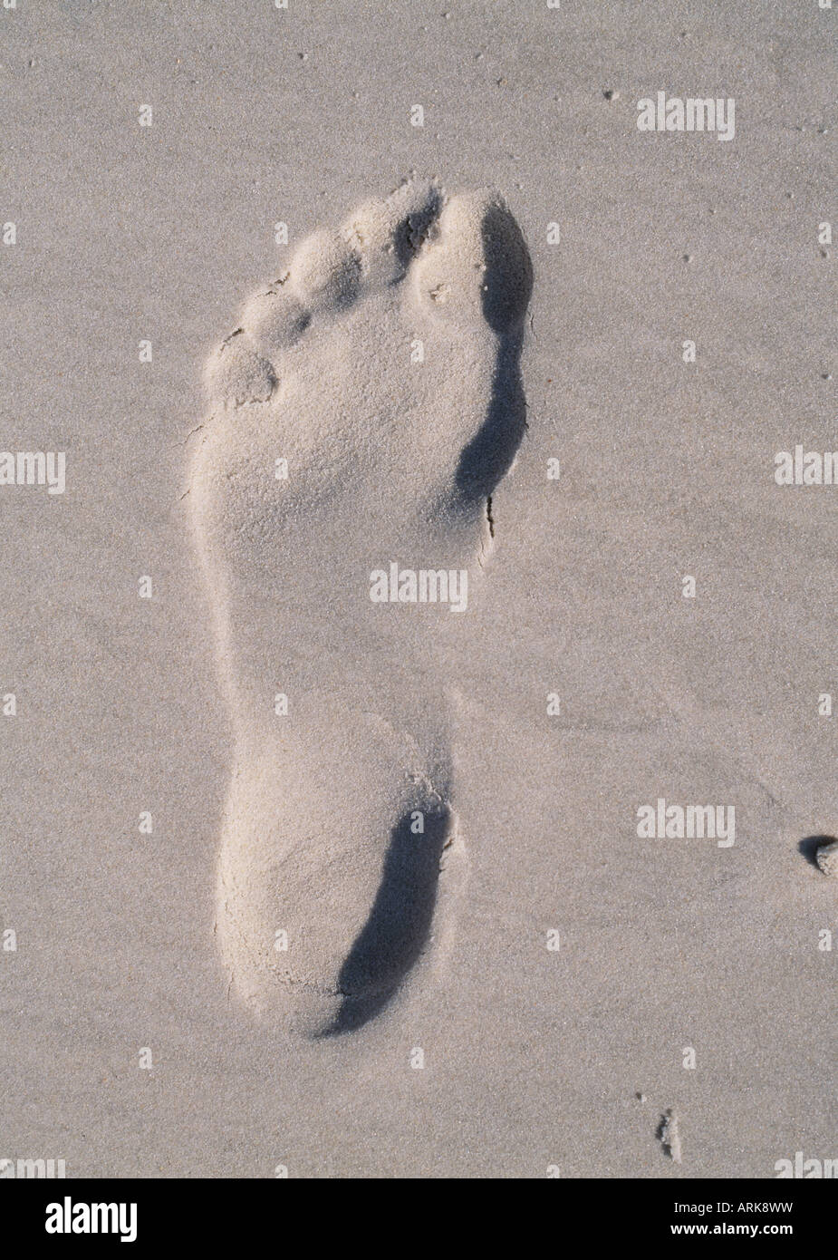 Global footprint. time hi-res stock photography and images - Alamy