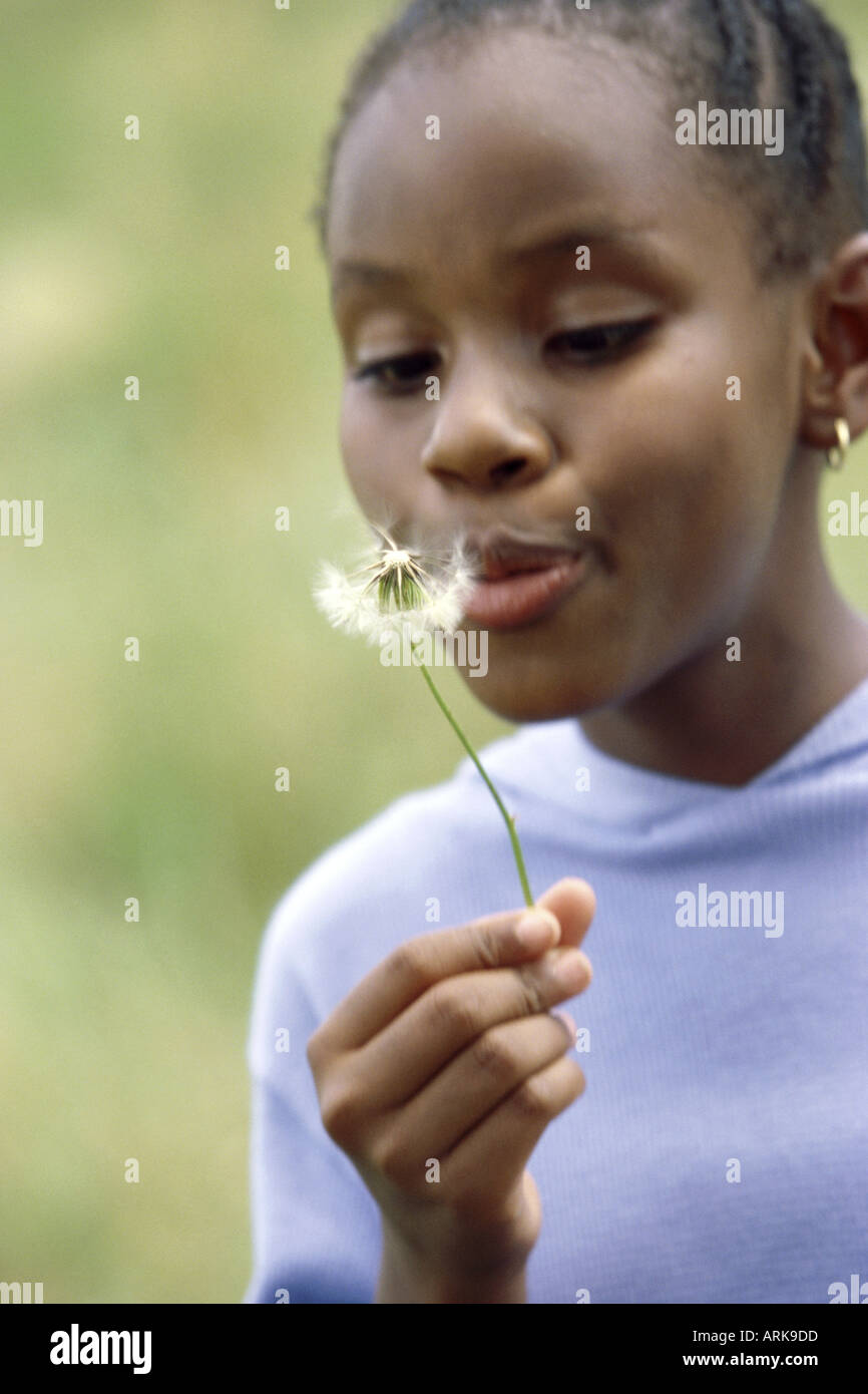 African american girl blowing dandelion hi-res stock photography and ...