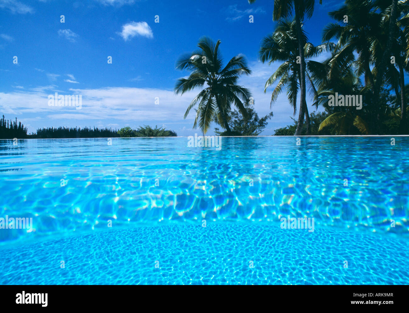 Swimming pool, Palm trees, Split image, New Caledonia Stock Photo - Alamy
