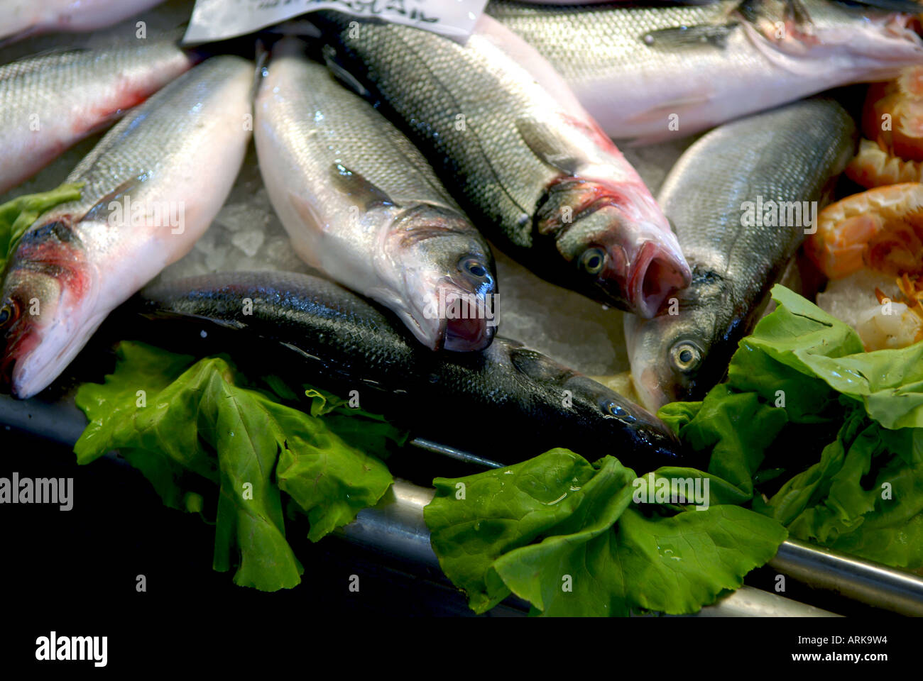 Fish on slab at Rialto market Stock Photo - Alamy