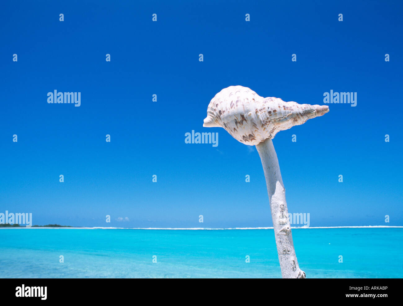 New caledonia bubble hi-res stock photography and images - Alamy