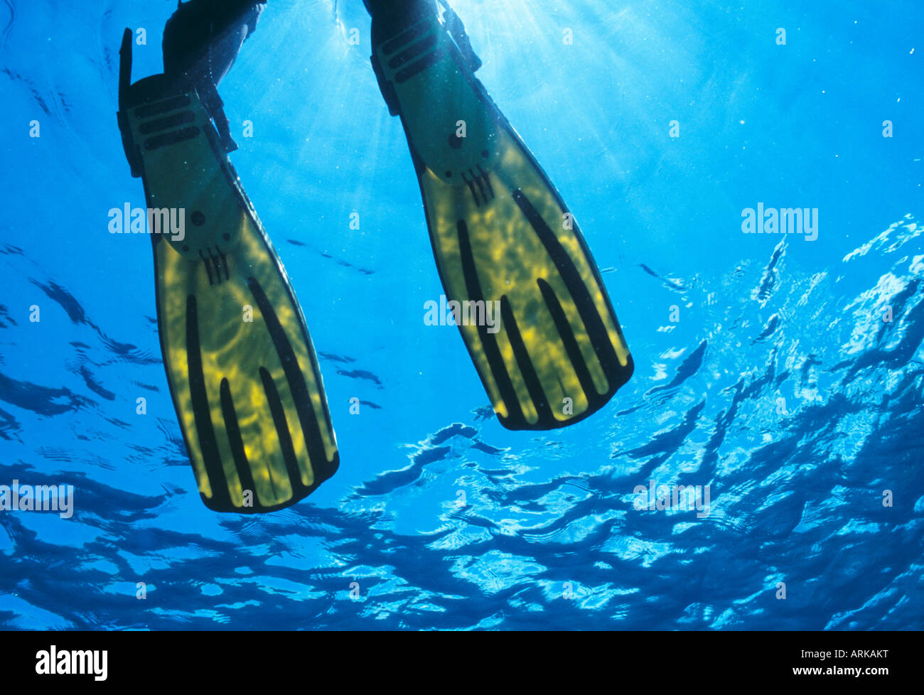 Flipper's new adventure hi-res stock photography and images - Alamy