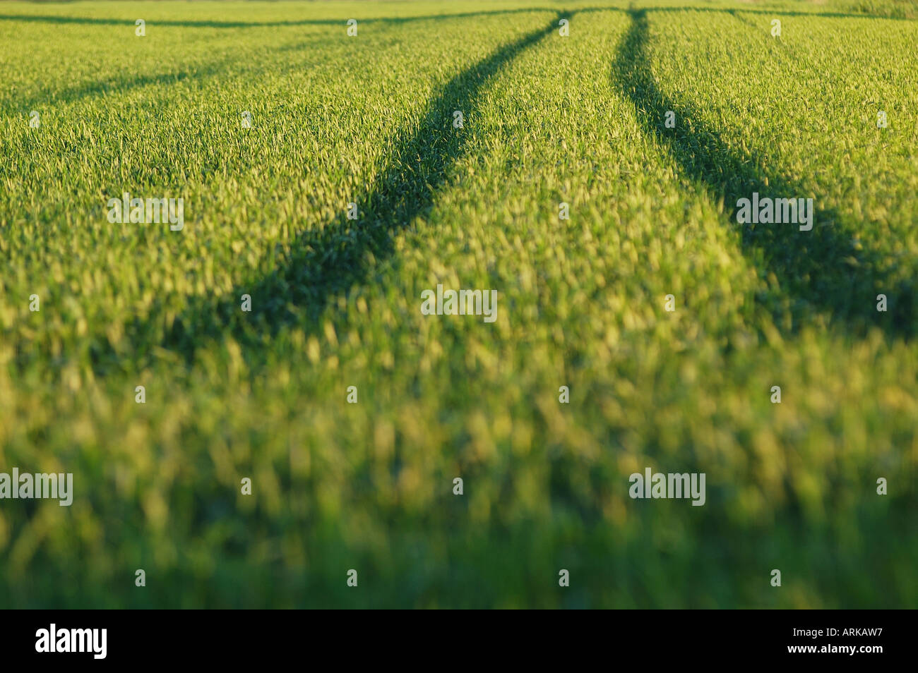 Hamburg border hi-res stock photography and images - Alamy