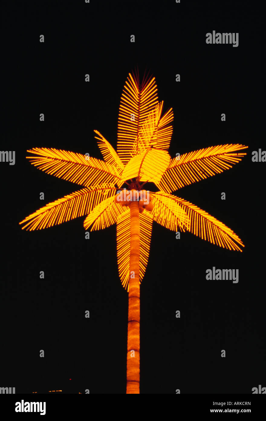 Palm tree lit up at night, Kota Kinabaru, East Malaysia Stock Photo - Alamy