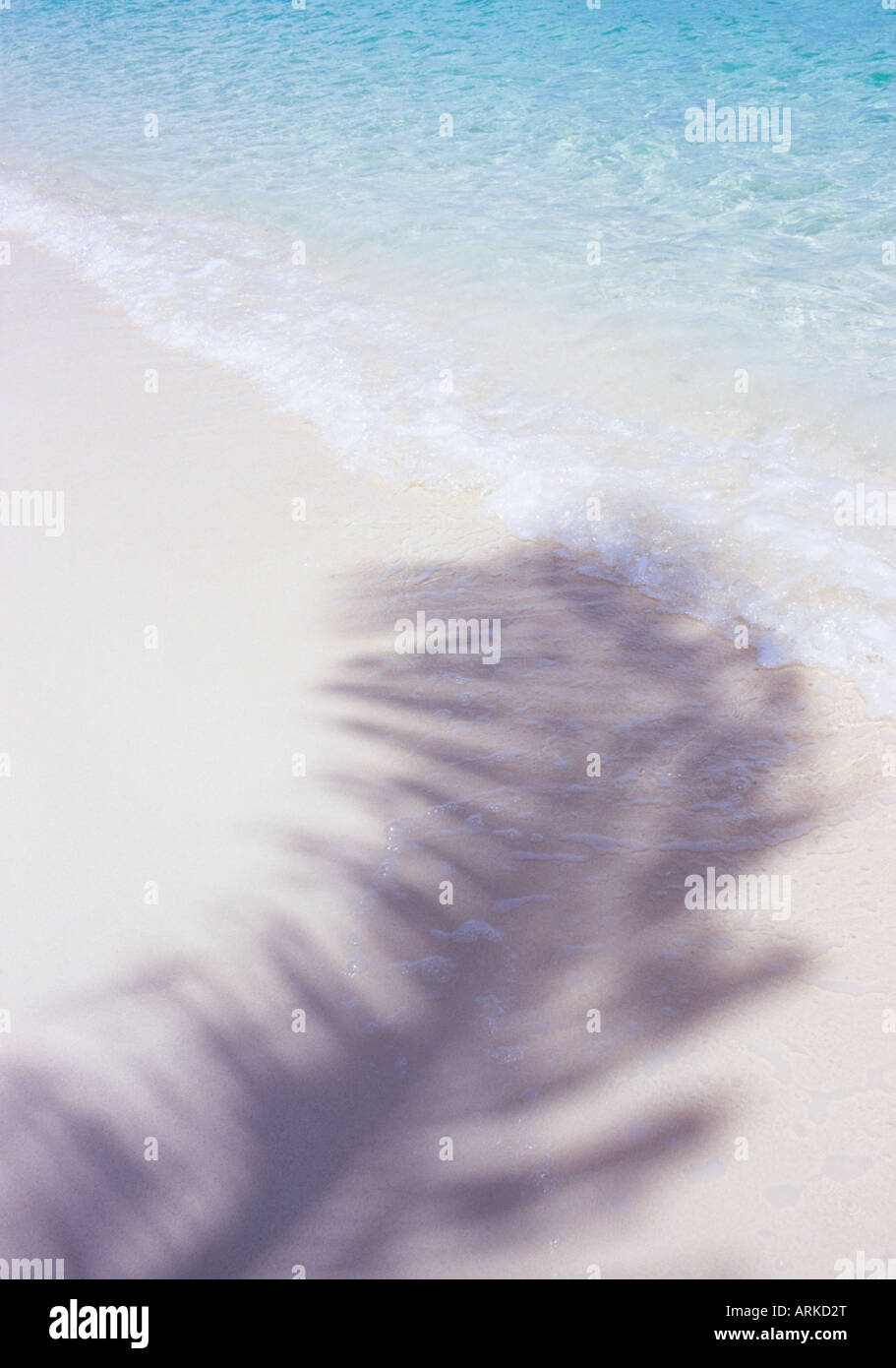 Shadow reflected on white sand beach hi-res stock photography and ...