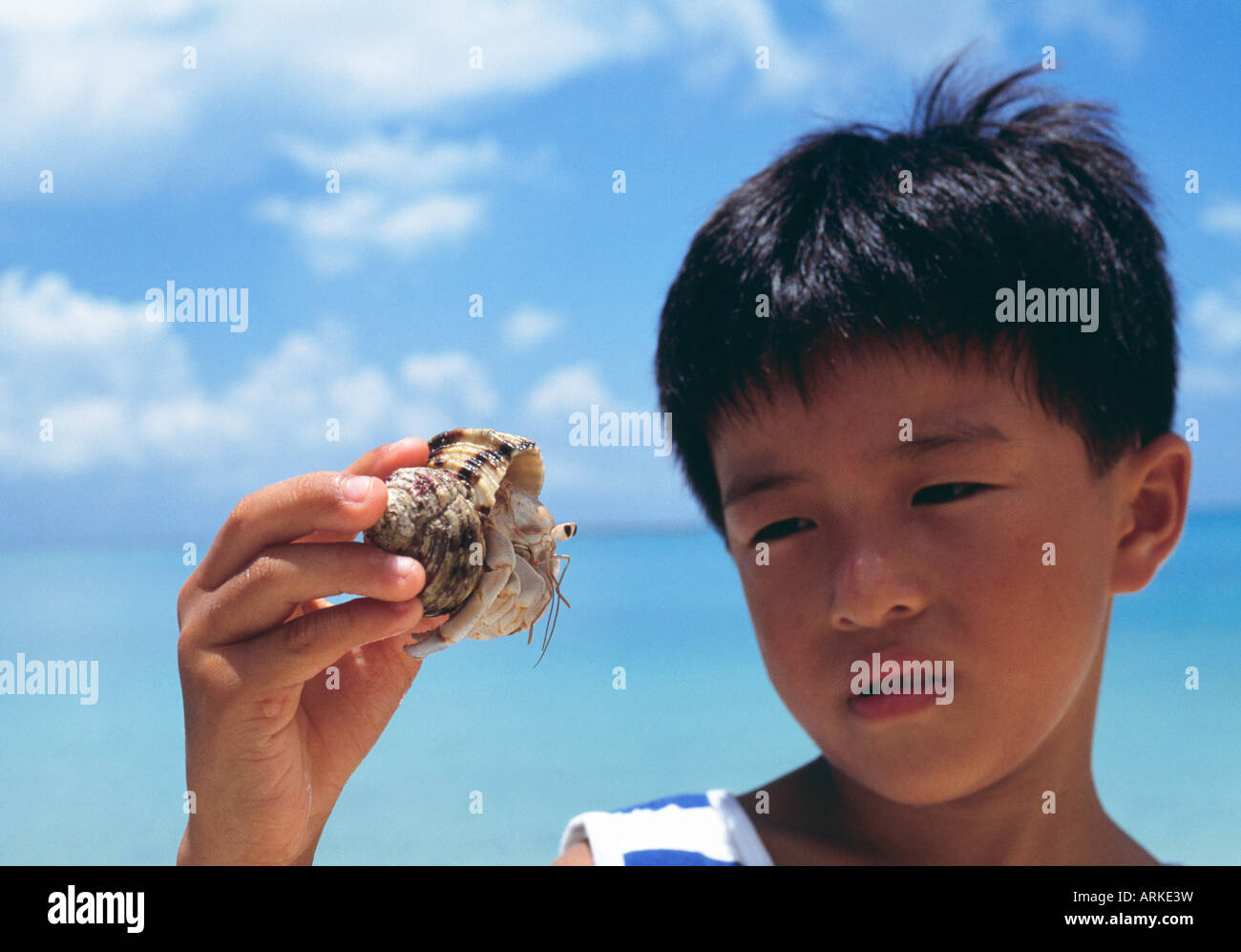 Young boy holding a hermit crab Stock Photo - Alamy