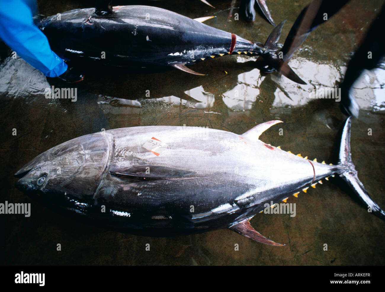 Cool japanese stuff hi-res stock photography and images - Alamy