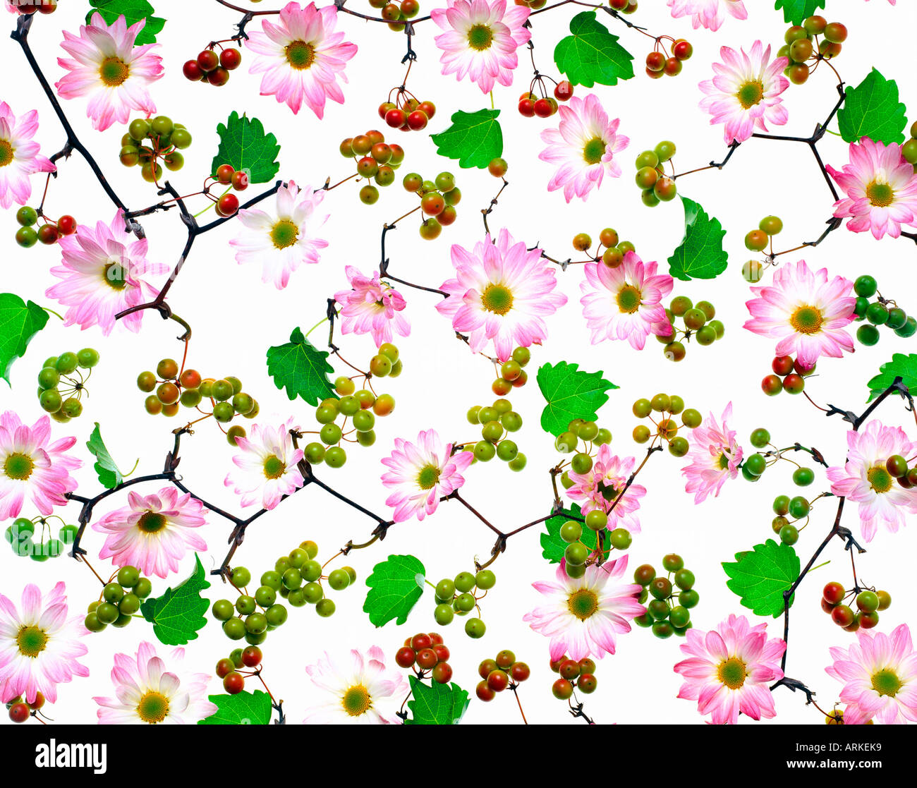 Flower and berry background Stock Photo - Alamy