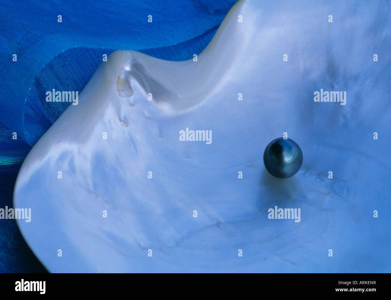 Pearl cultivation japan hi-res stock photography and images - Alamy