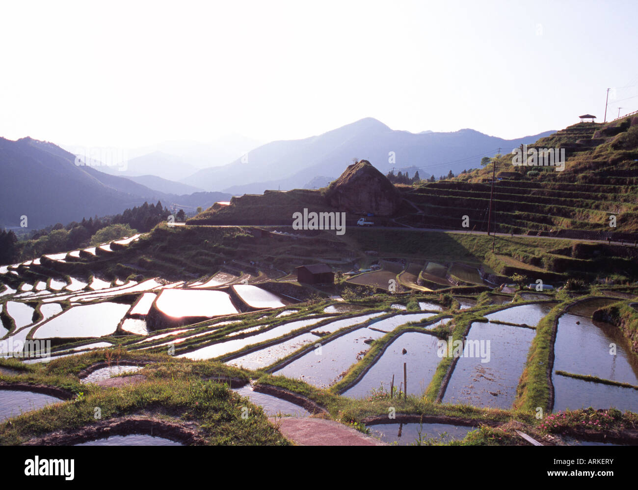 Japanese Rice Terrace Stock Photos & Japanese Rice Terrace Stock Images ...