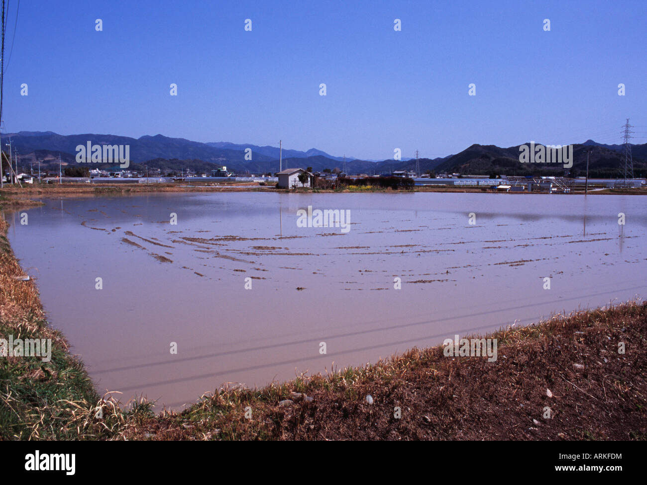 Japan rice field bar hi-res stock photography and images - Alamy