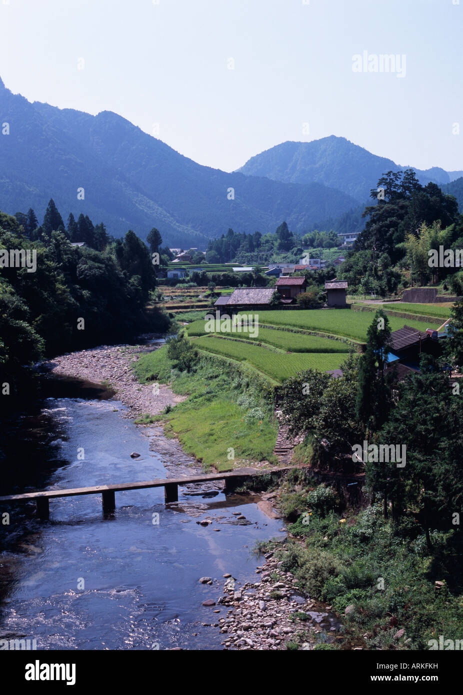 Rice terrace and a river, Japanese rural area Stock Photo - Alamy