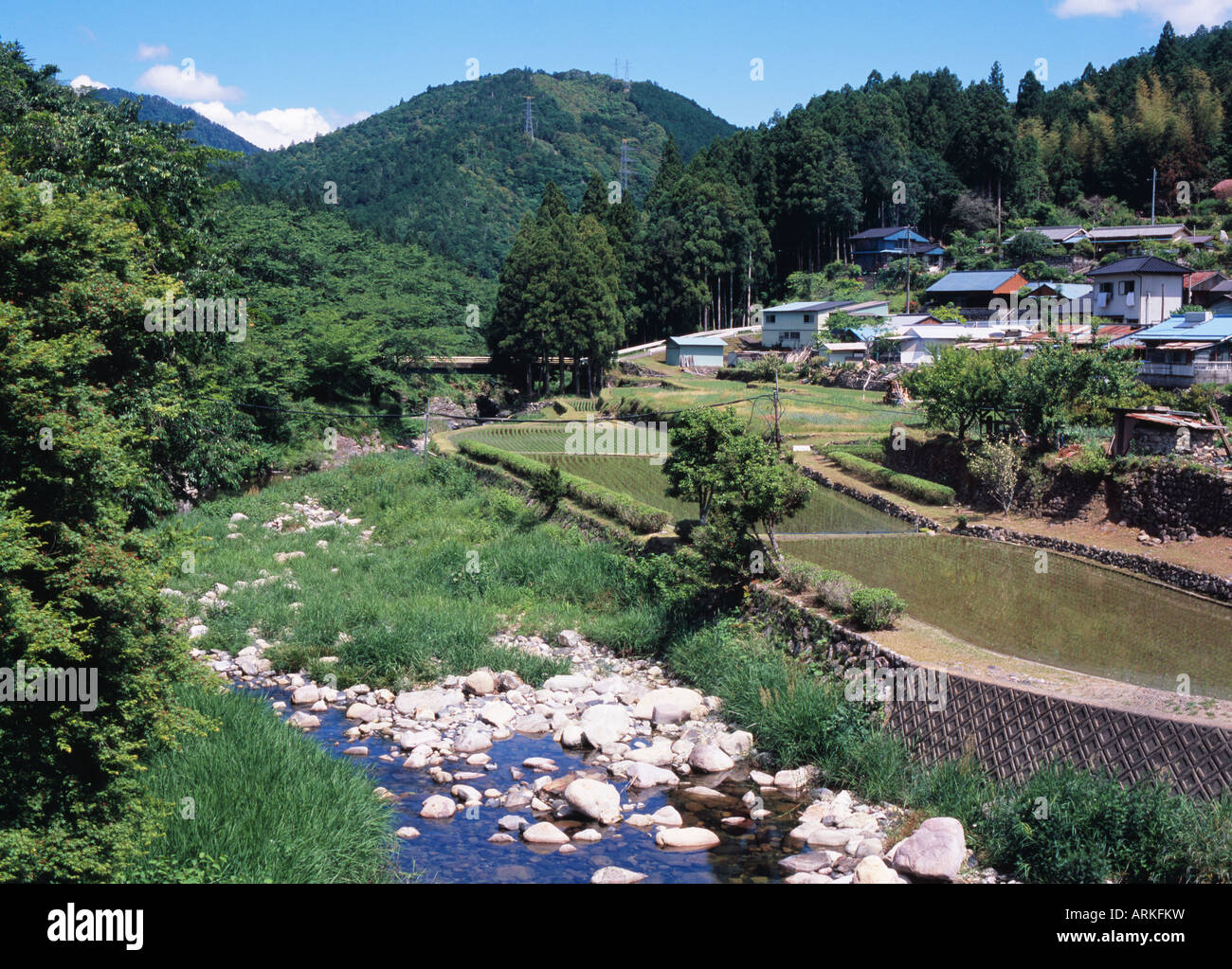 Rice terrace and a river, Japanese rural area Stock Photo - Alamy
