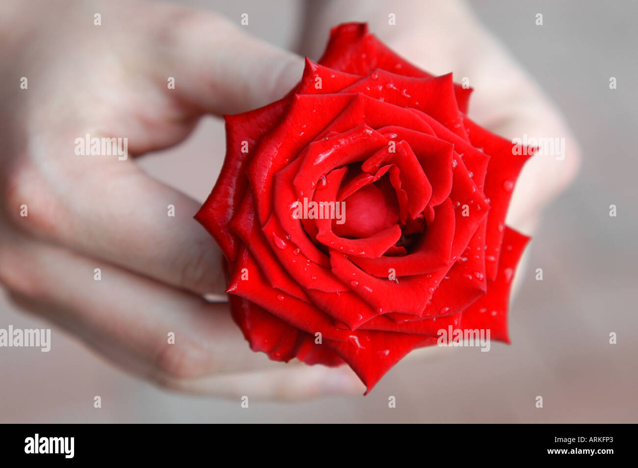 Hand ove hi-res stock photography and images - Alamy