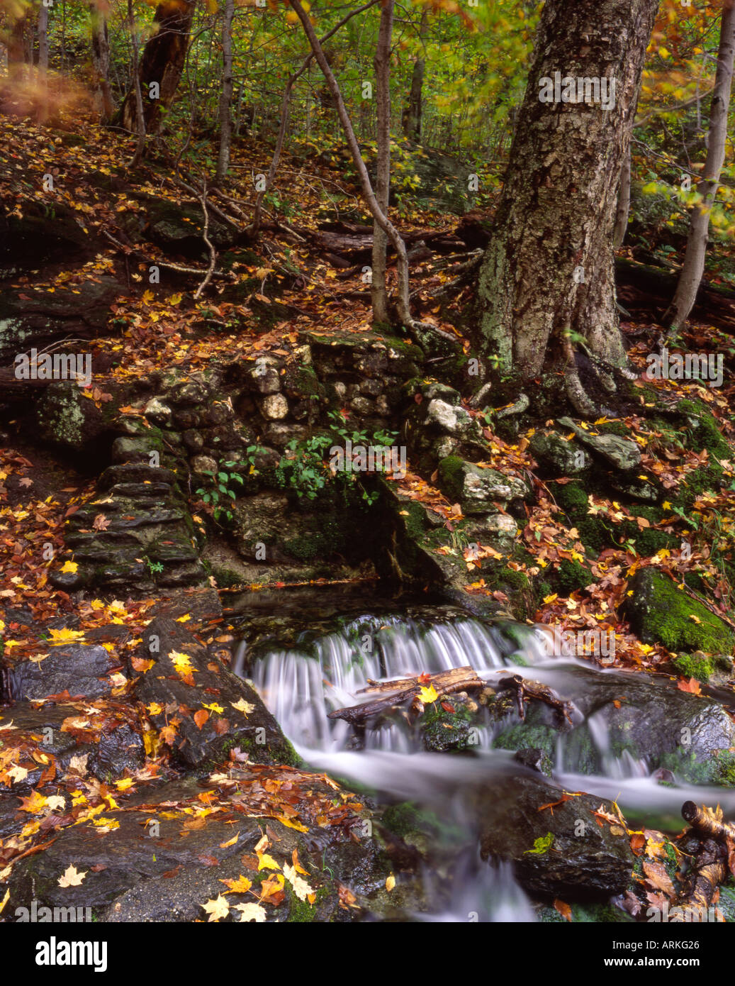 A natural spring of water flows from the hillside in the mountains of ...
