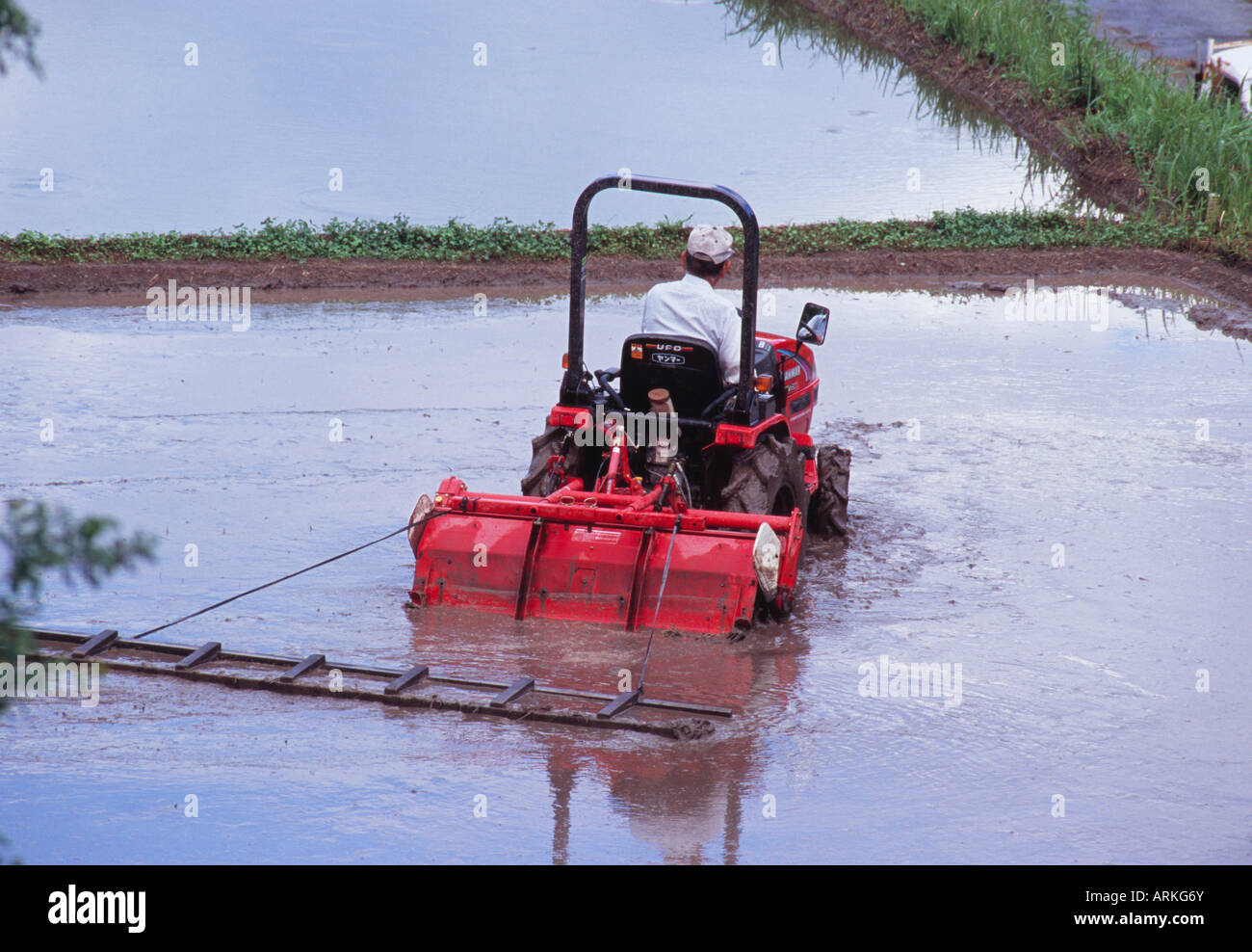 Rice paddy with a rice planting machine, Japan Stock Photo - Alamy