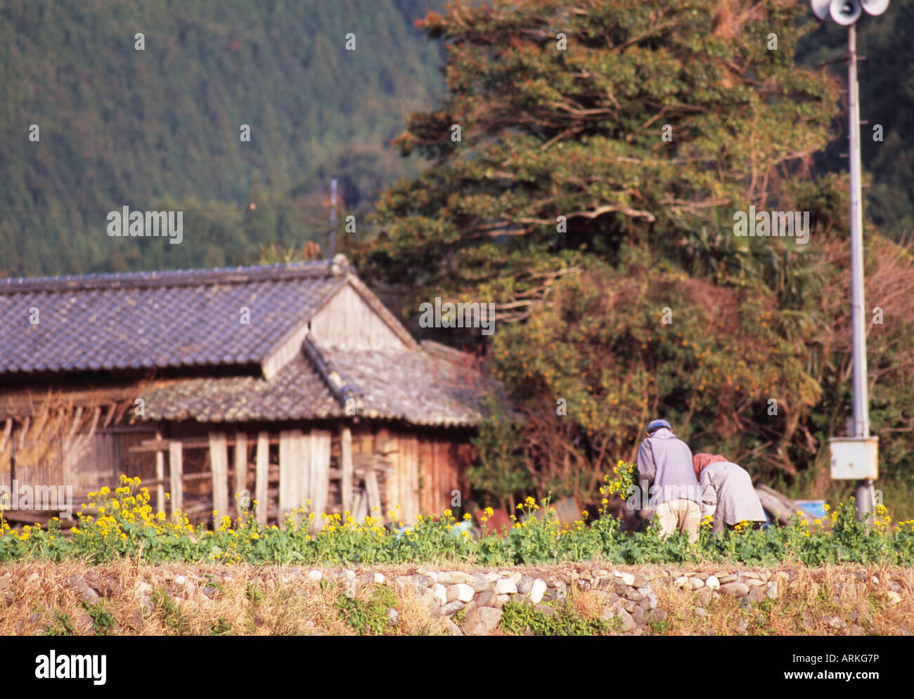 Farmer house with farmers Stock Photo - Alamy