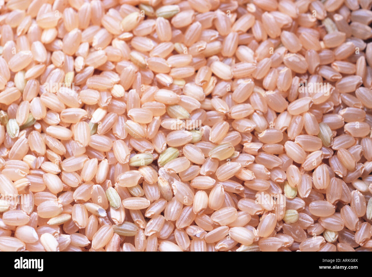 Threshed rice hi-res stock photography and images - Alamy