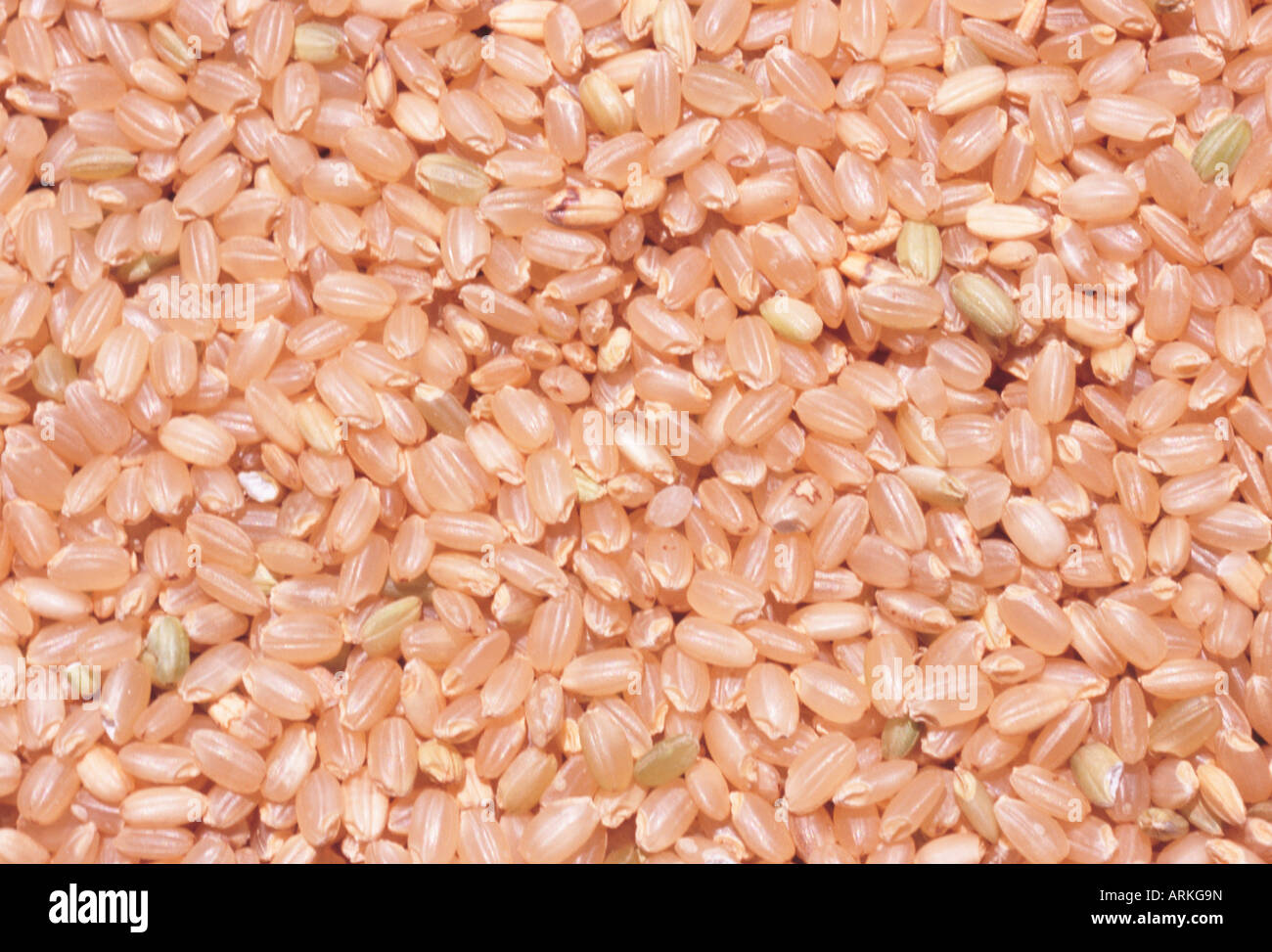 Threshed rice hi-res stock photography and images - Alamy