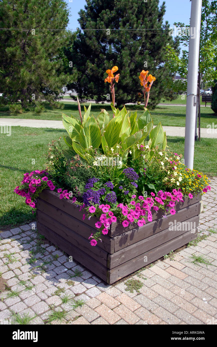Large flowered box on a public walk way Stock Photo - Alamy