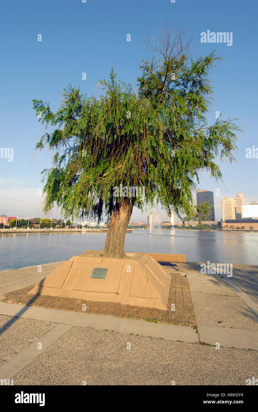 Weeping Willow Tree in International Park at Toledo Ohio OH Stock Photo ...