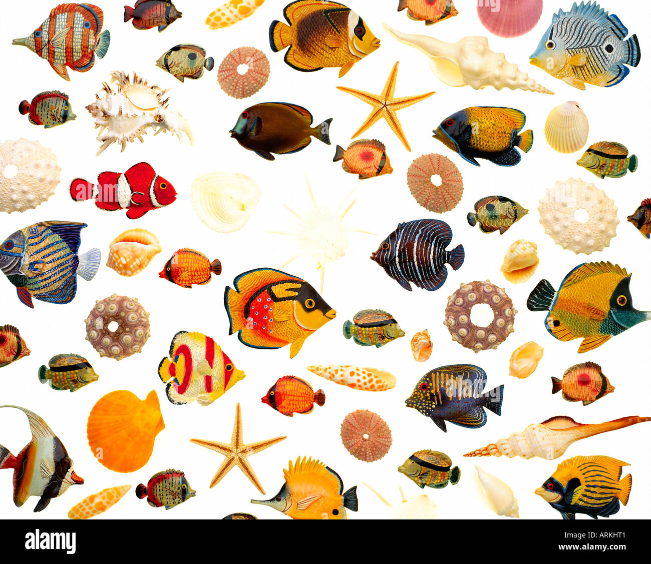 Fish and ocean remnant background Stock Photo - Alamy