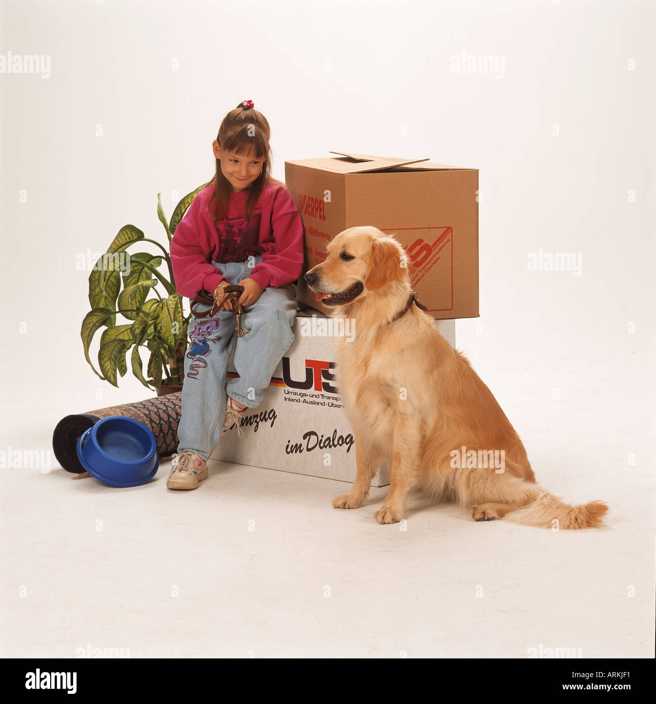 move: girl, Golden Retriever dog and boxes Stock Photo - Alamy