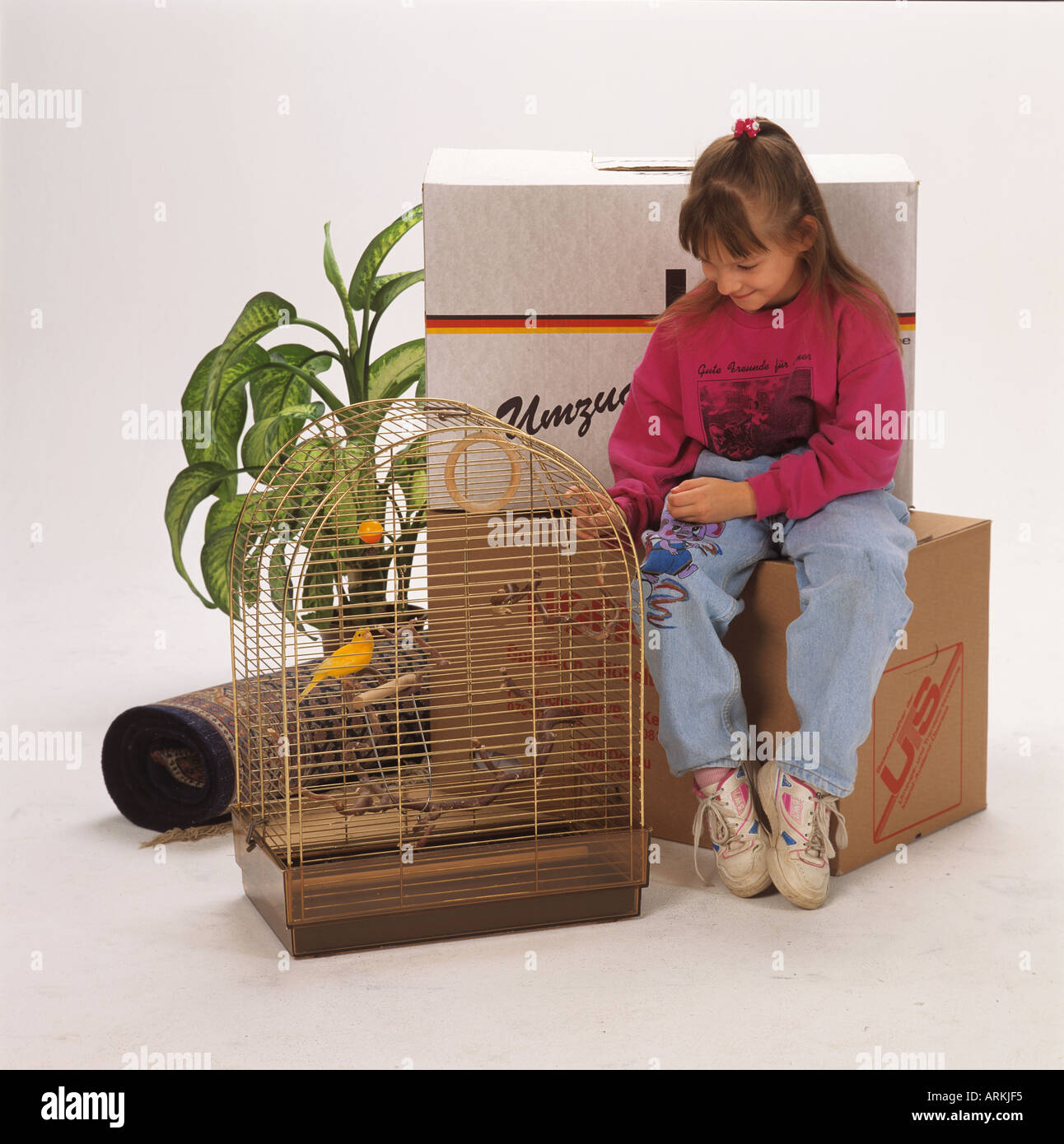 move: girl, canary bird and boxes Stock Photo - Alamy