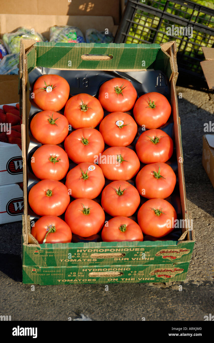 Tomatoes in a crate ready for delivery Stock Photo - Alamy