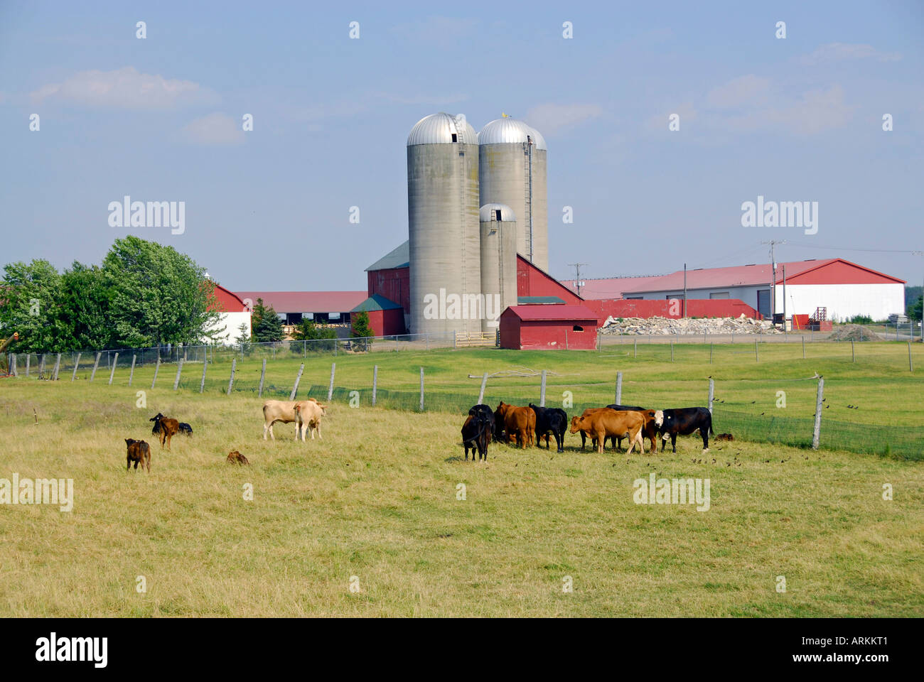 An indiana farm hi-res stock photography and images - Alamy