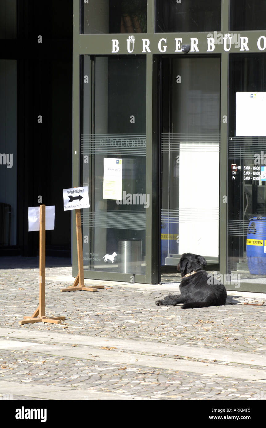 general election, germany, german, deuscth, deutschland, vote, voting ...
