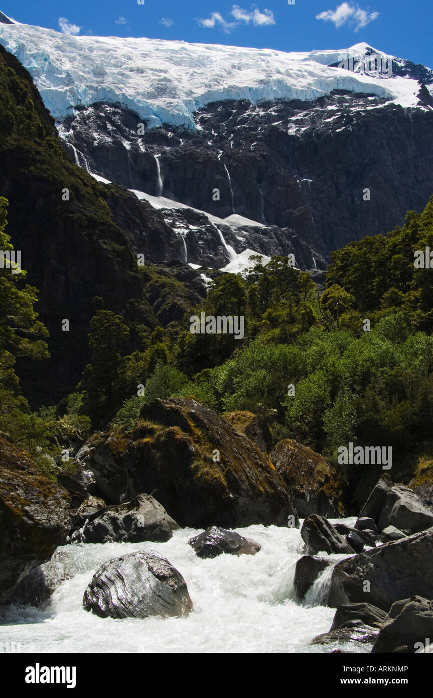 A river on Rob Roy Glacier Hiking Track, Mount Aspiring National Park ...