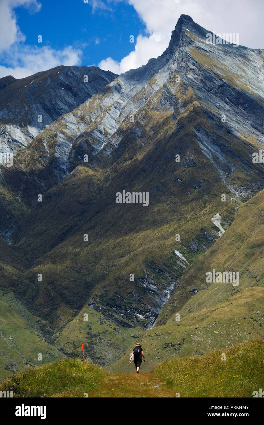 Hikers on the Rob Roy Glacier Hiking Track, Mount Aspiring National ...