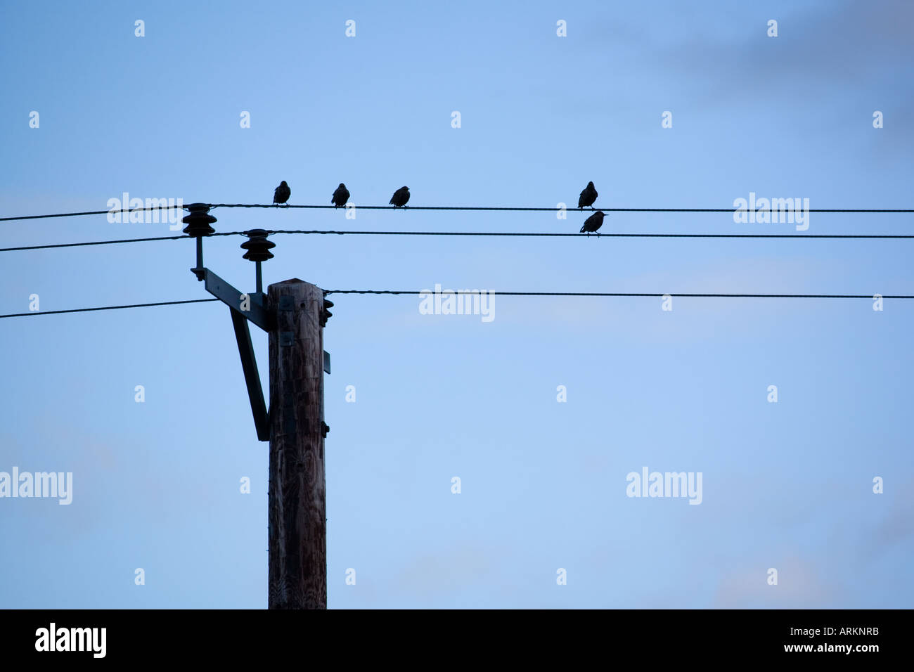 Single wire telegraph hi-res stock photography and images - Alamy