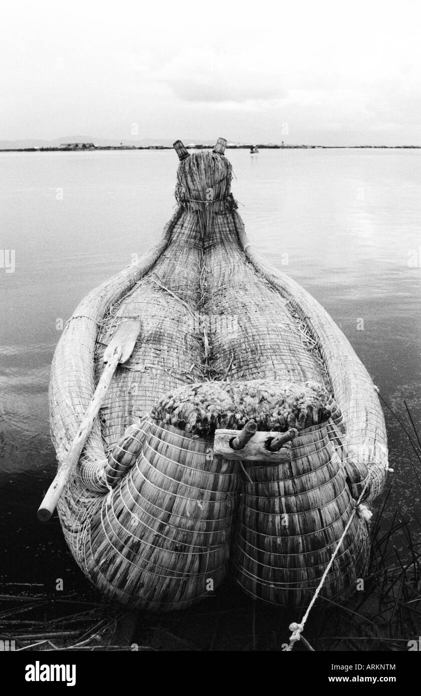 South american plant Black and White Stock Photos & Images - Alamy