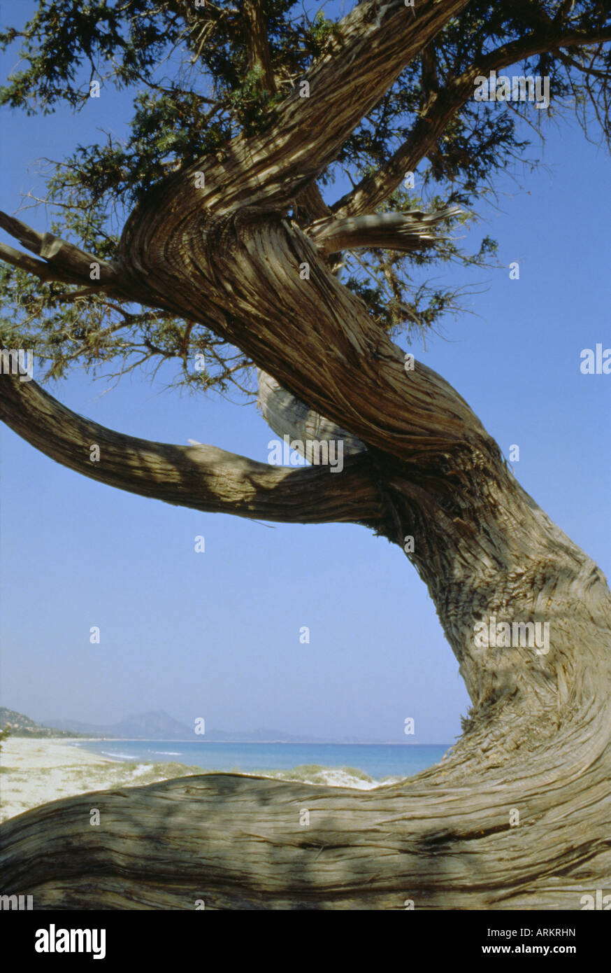 Costa Rey, Sardinia, Italy, Mediterranean, Europe Stock Photo - Alamy