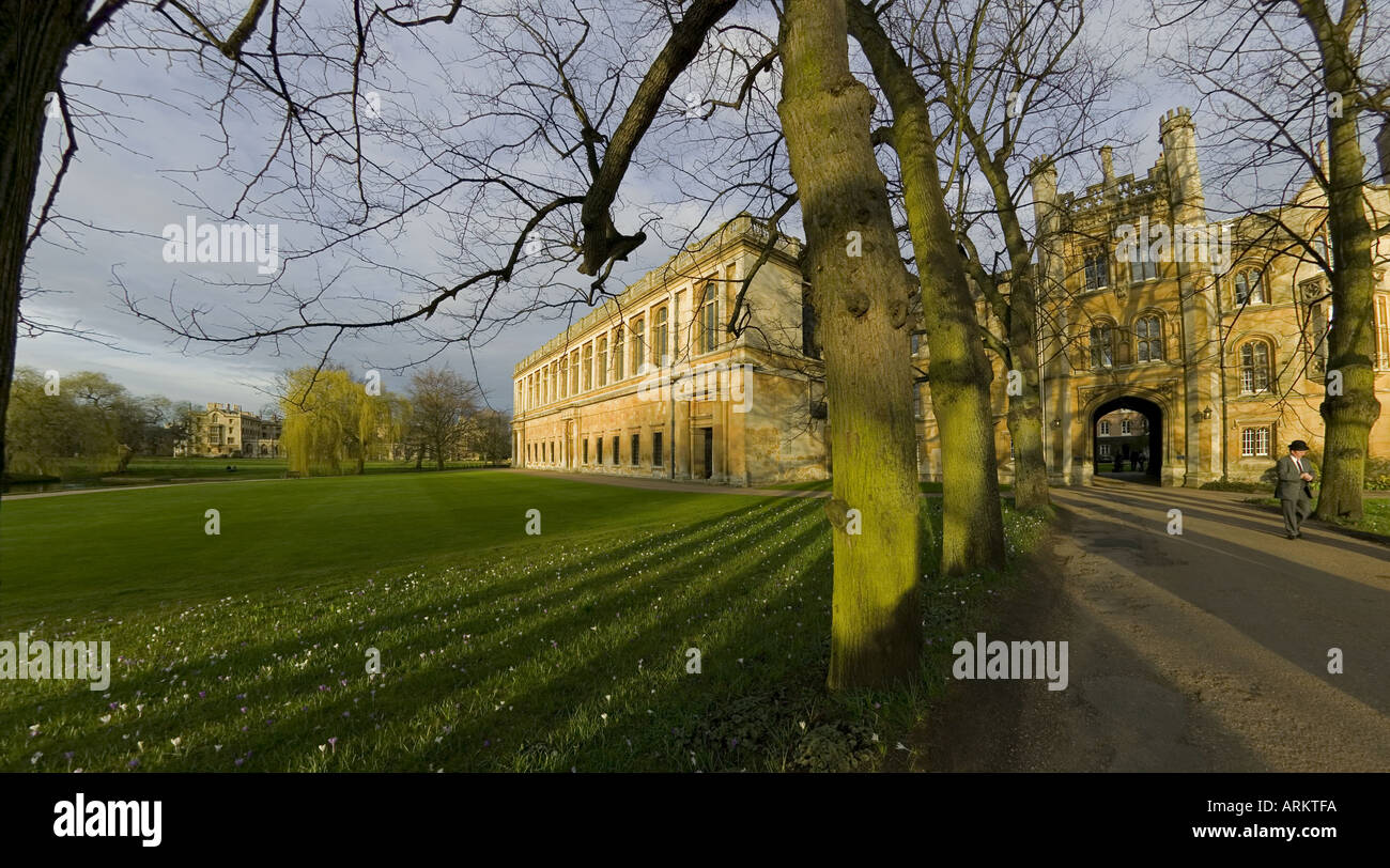 Wren Library Trinity College Cambridge Stock Photo - Alamy