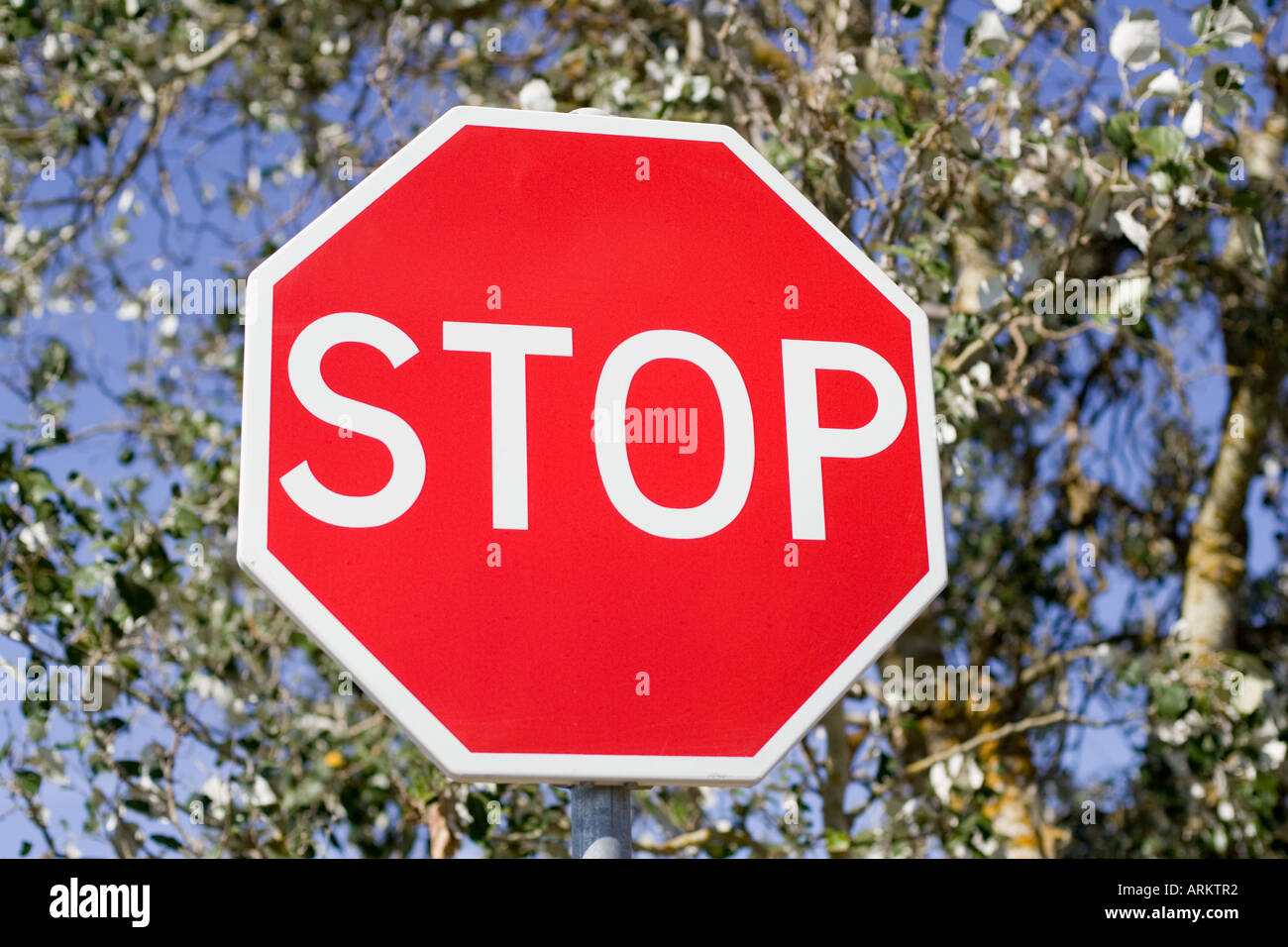 Large red and white hexagonal stop road sign Spain Stock Photo - Alamy