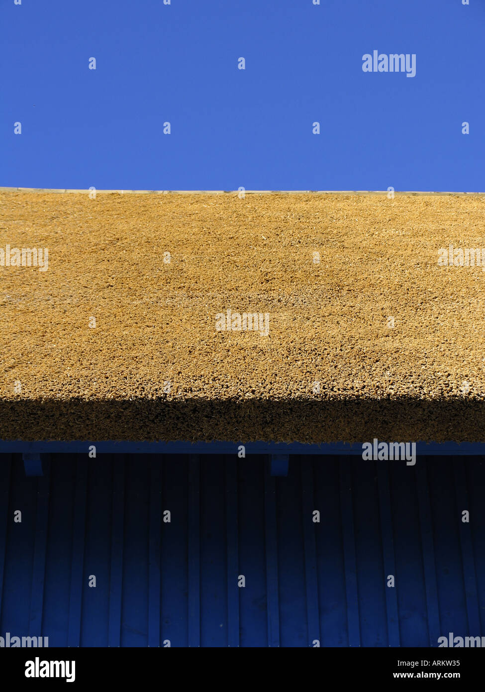Architectural detail of yellow thatched roof and blue sky, Lithuania ...