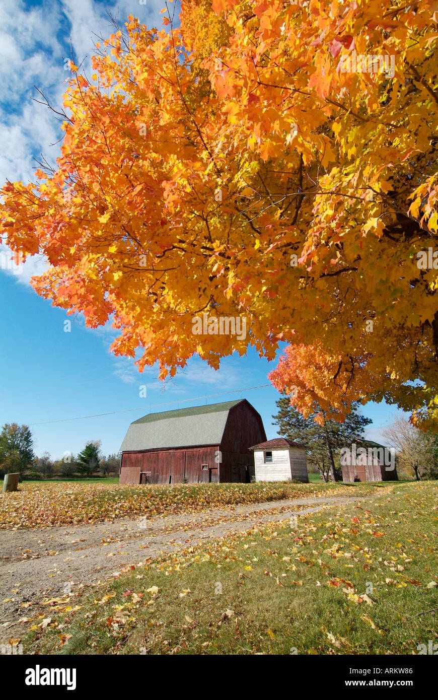 Indiana fall scene hi-res stock photography and images - Alamy