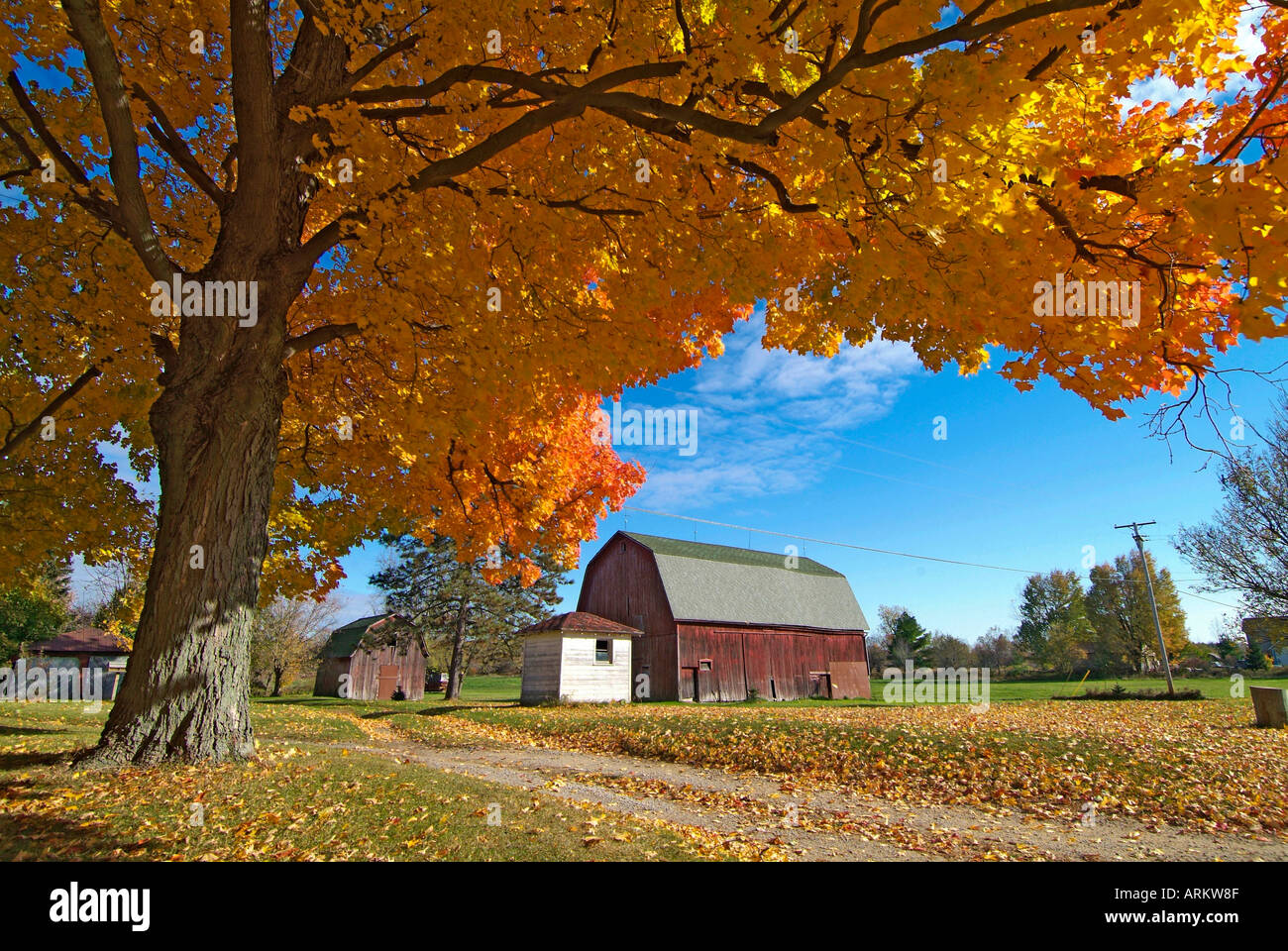 Northern Indiana agriculture farming scene during the autumn fall ...